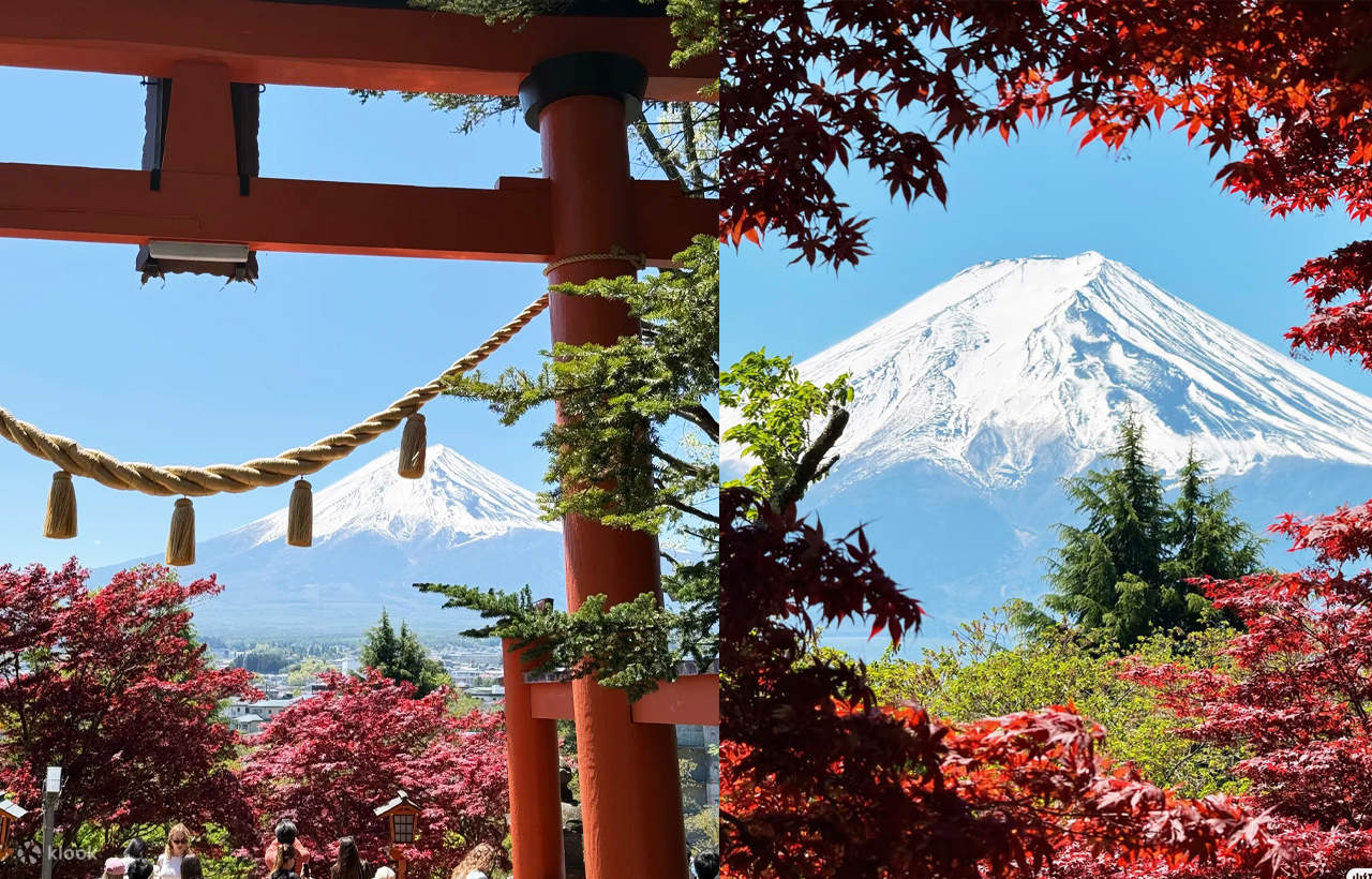 [Motosuko Fuji Shibazakura] Arakurayama Sengen Park & Oshino Hakkai ...